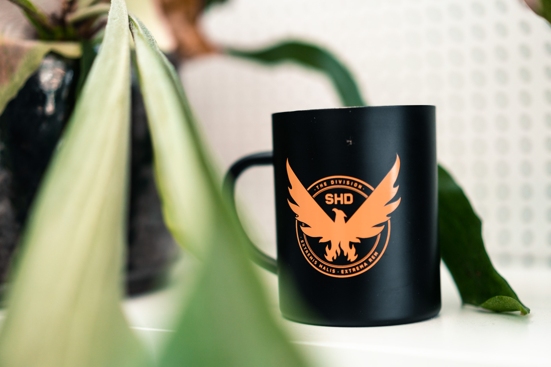 Working as a Community Developer on Tom Clancy's The Division 2 ...