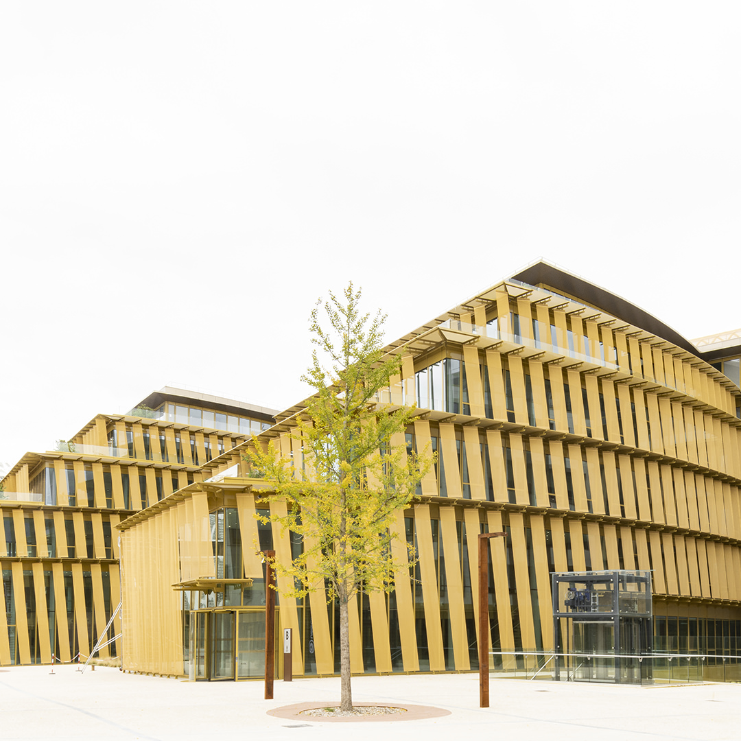 Green Floresco - Ubisoft - Stories