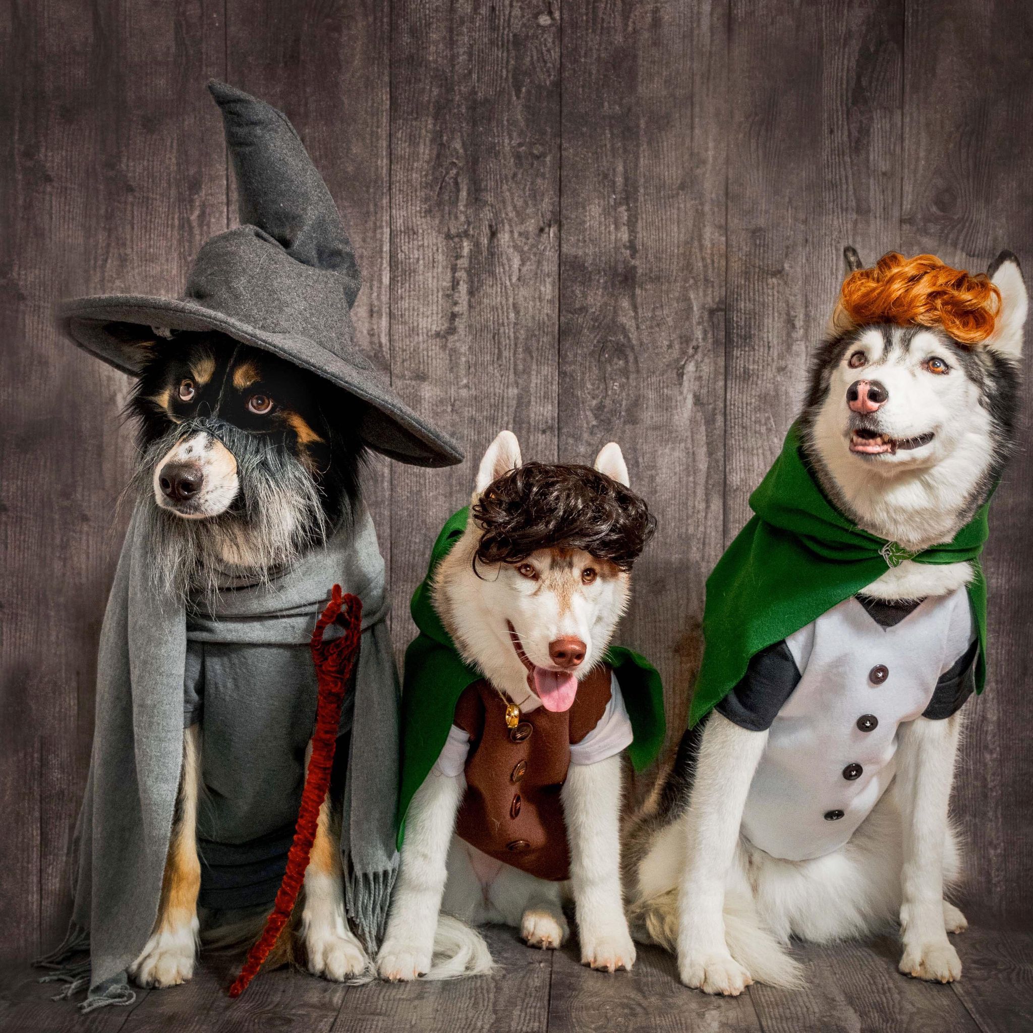 Celebrating Halloween with the Team at Ubisoft Toronto - Ubisoft Toronto