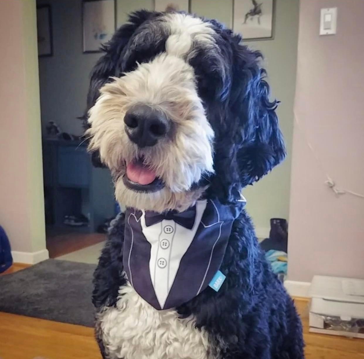 Celebrating Halloween with the Team at Ubisoft Toronto - Ubisoft Toronto